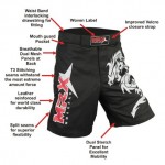 How Much Should You Spend on Cheap MMA Fight Shorts - evolved MMA