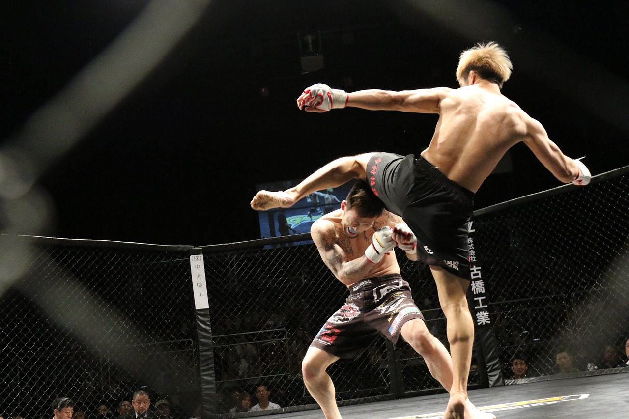 Punches in bunches of MMA heavyweight giants - evolved MMA